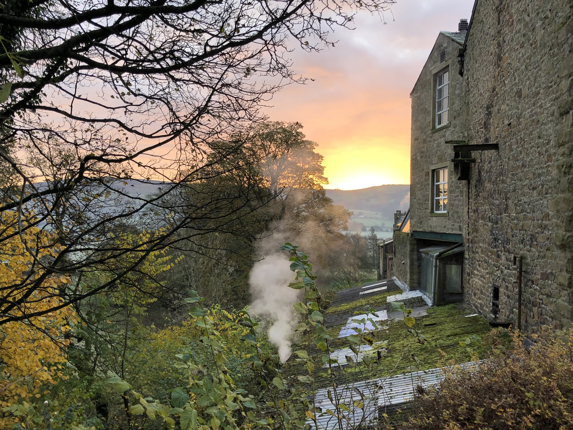 Home - Mitchell Interflex-weaver-dry finishing-interlinings