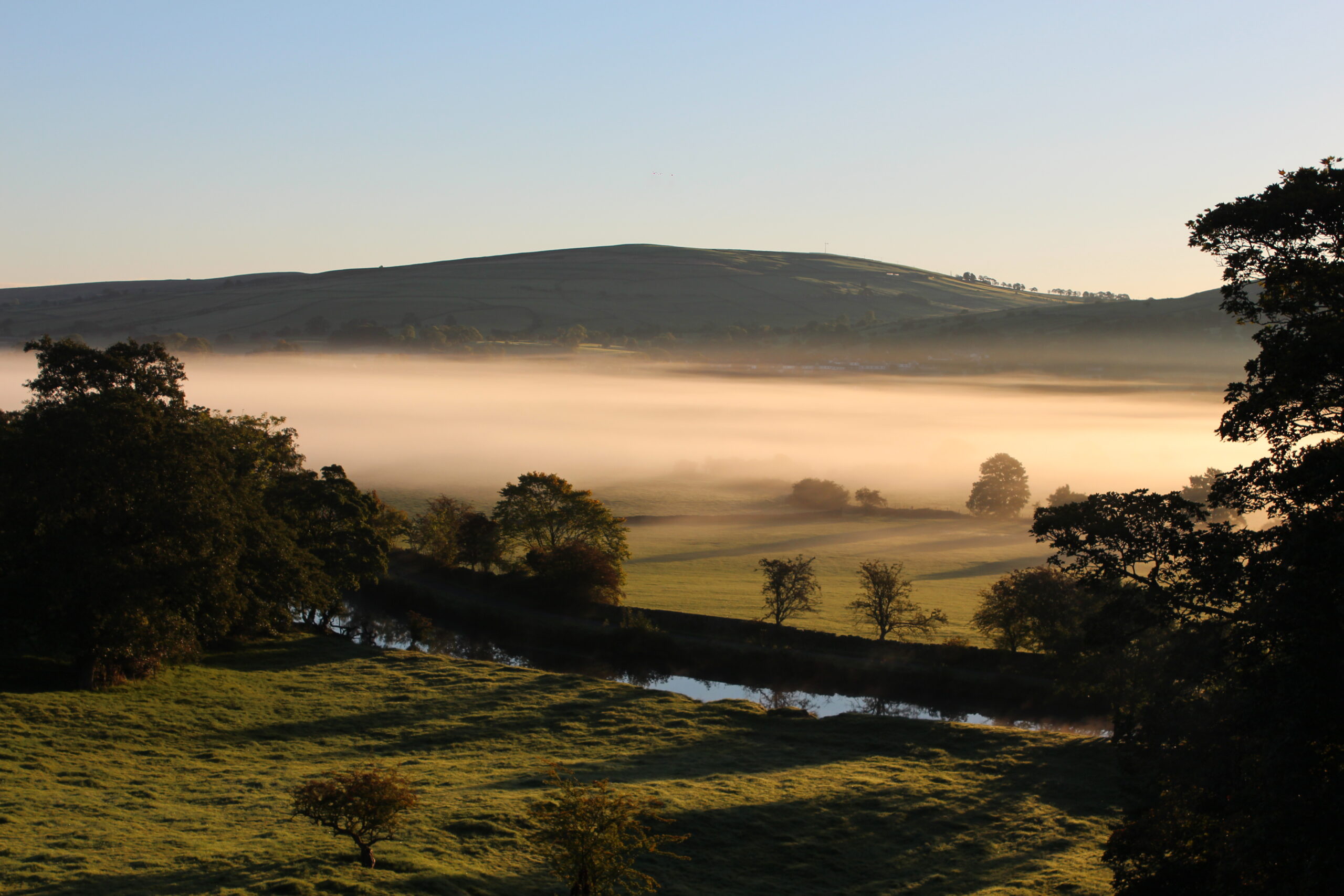 Home - Mitchell Interflex-weaver-dry finishing-interlinings